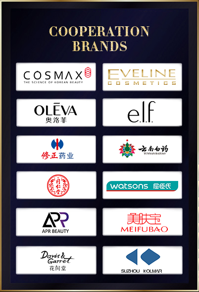 Company Profile